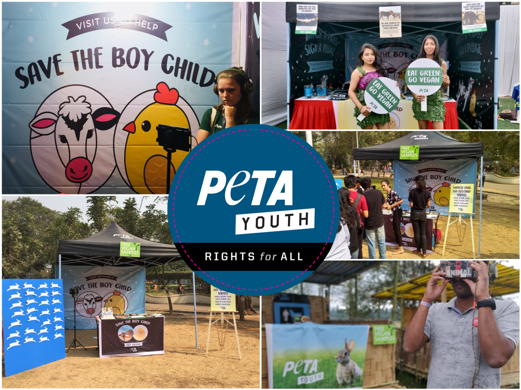 PETA Youth Spreads Compassion All Around India in 2019 - Blog - PETA India