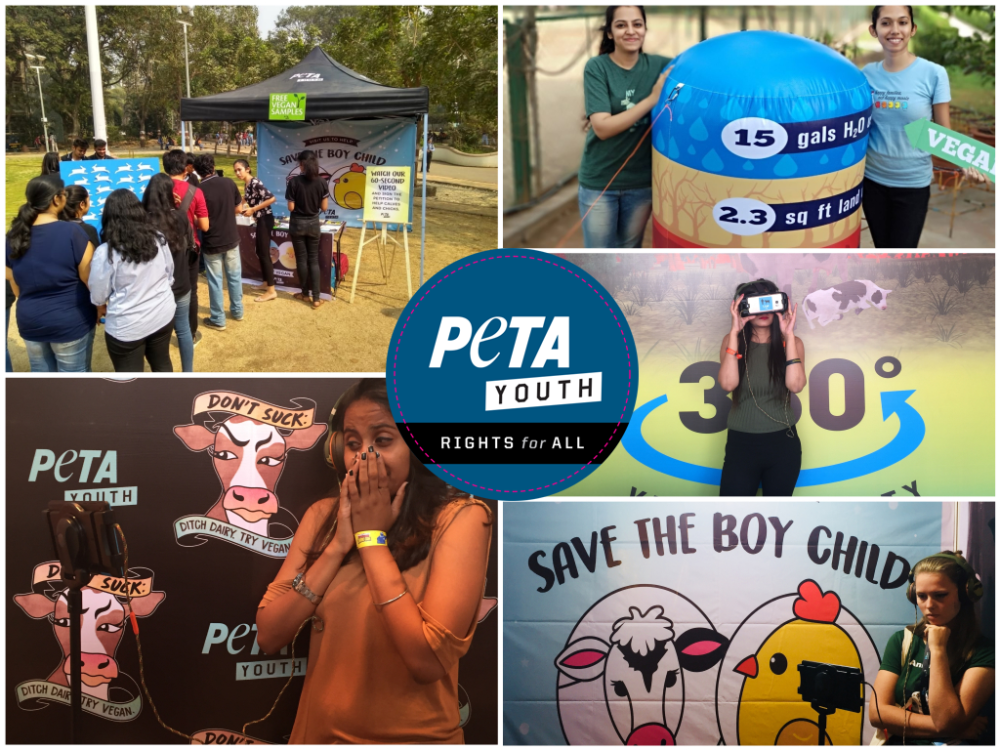 PETA Youth Wants YOU! | About PETA - PETA India