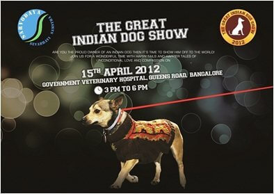 Dog Show Celebrates Indian Dogs - Blog - PETA India