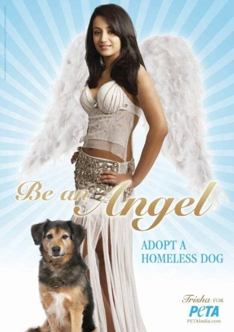 Trisha Krishnan: An Angel for Desi Dogs! - Blog - PETA India