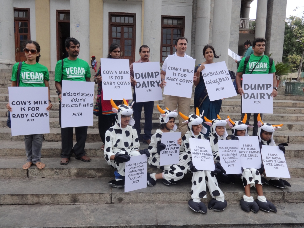 12 Best PETA Demos of 2014