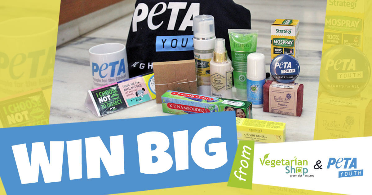 Win Big on PETA Youth's Birthday