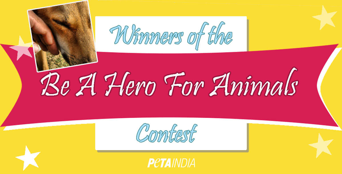 Winners of the 'Be a Hero to Animals' Contest