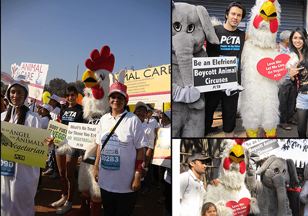 Join Team PETA for the Standard Chartered Mumbai Marathon 2017