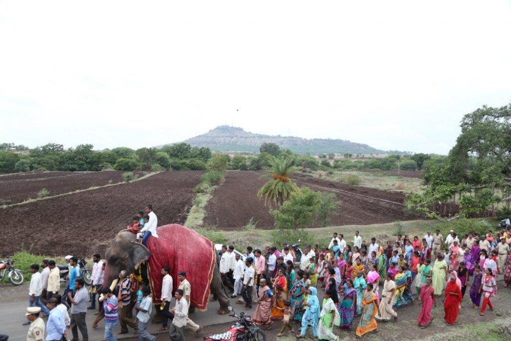 Gajraj the Elephant's Journey to Freedom After 51 Years