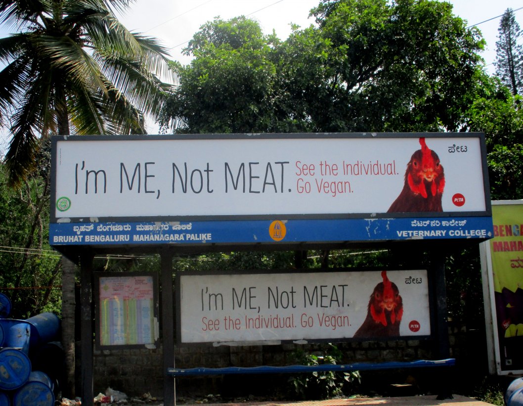 'I'M ME, NOT MEAT' Billboards Sweep The Nation - Blog - PETA India