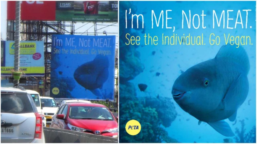 Kolkata: Take Part in PETA India's Toilet Paper Mission to Highlight ...