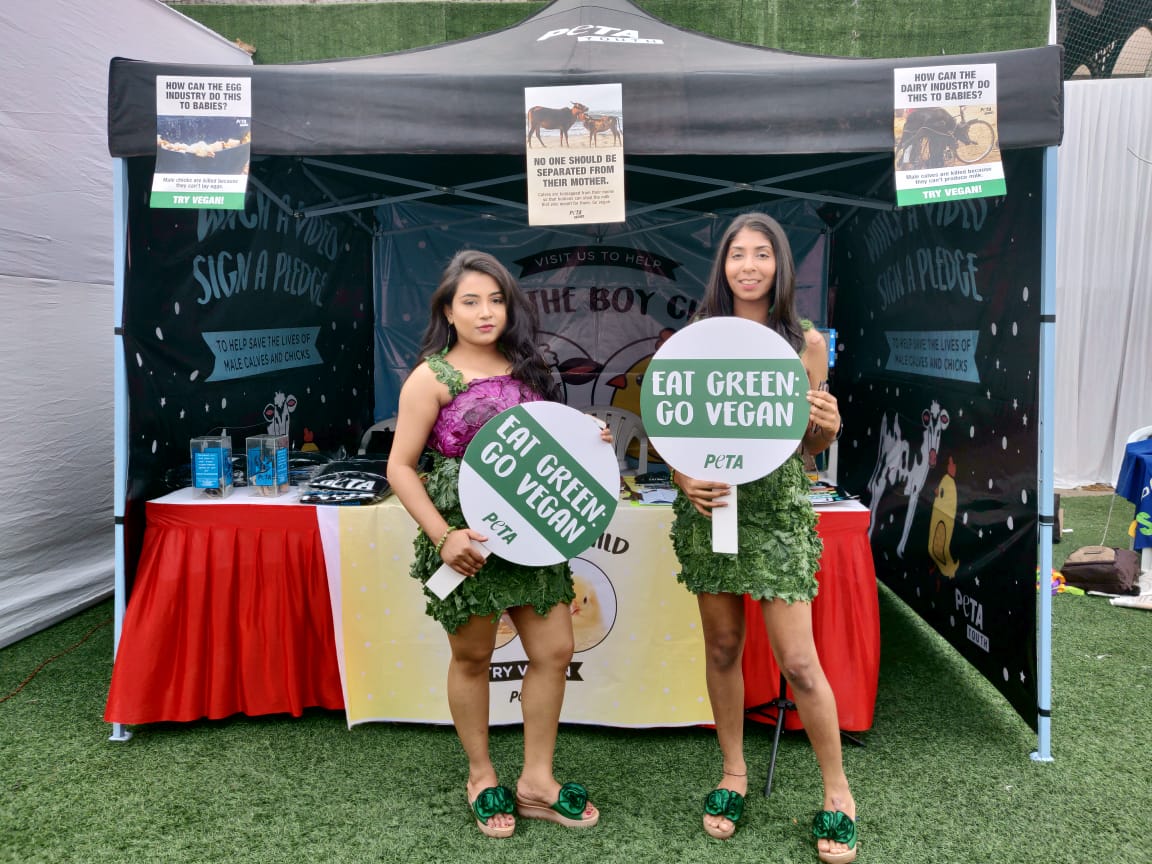 2018 Was a Banner Year for PETA Youth - Blog - PETA India