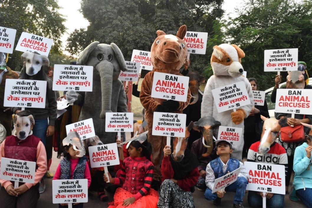 Children Join 'Elephants', 'Horses', and Others Call For a Ban on ...