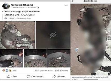 Following Complaints by PETA India, Meghalaya Man Charged With Killing ...