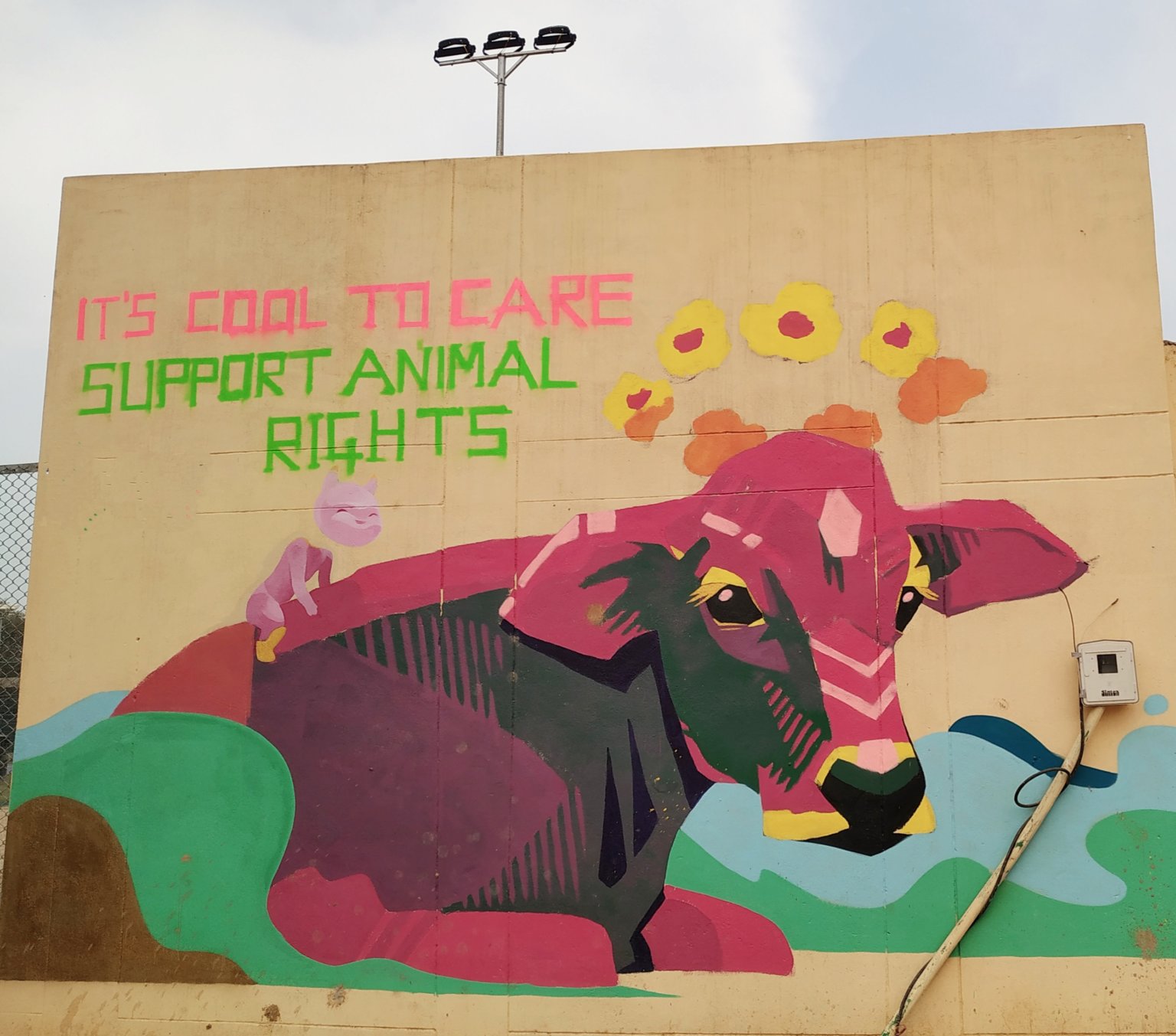 PETA Youth Spreads Compassion All Around India in 2019 - Blog - PETA India