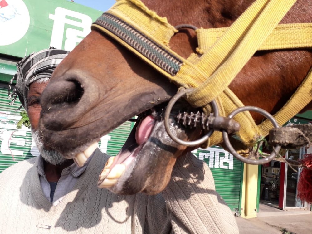 Jharkhand Prohibits Use, Sale, Manufacture and Trade of Spiked Bits ...