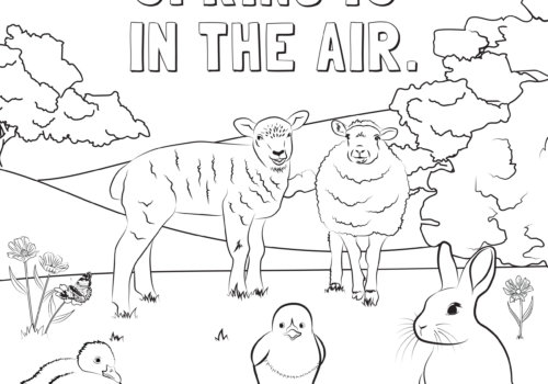 Self-Isolation Activity: Get Crafty and Fight Speciesism With These ...