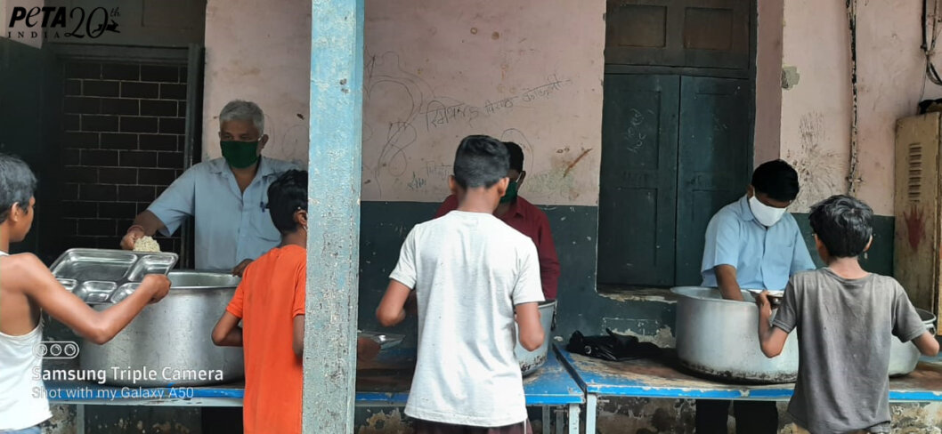 Actor Sadaa Sayed and PETA India Donate Vegan Biryani to Hundreds at ...