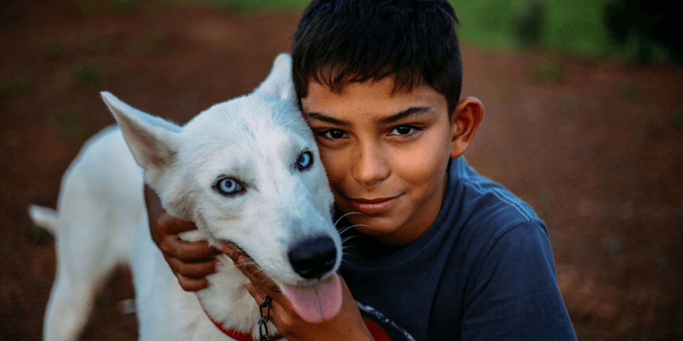 Making a Gift of Property to PETA - Donate Now - PETA India