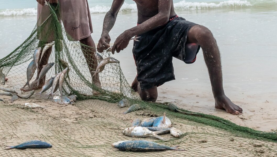 6 Lessons We Can Learn From the Netflix Documentary ‘Seaspiracy’ - Blog ...