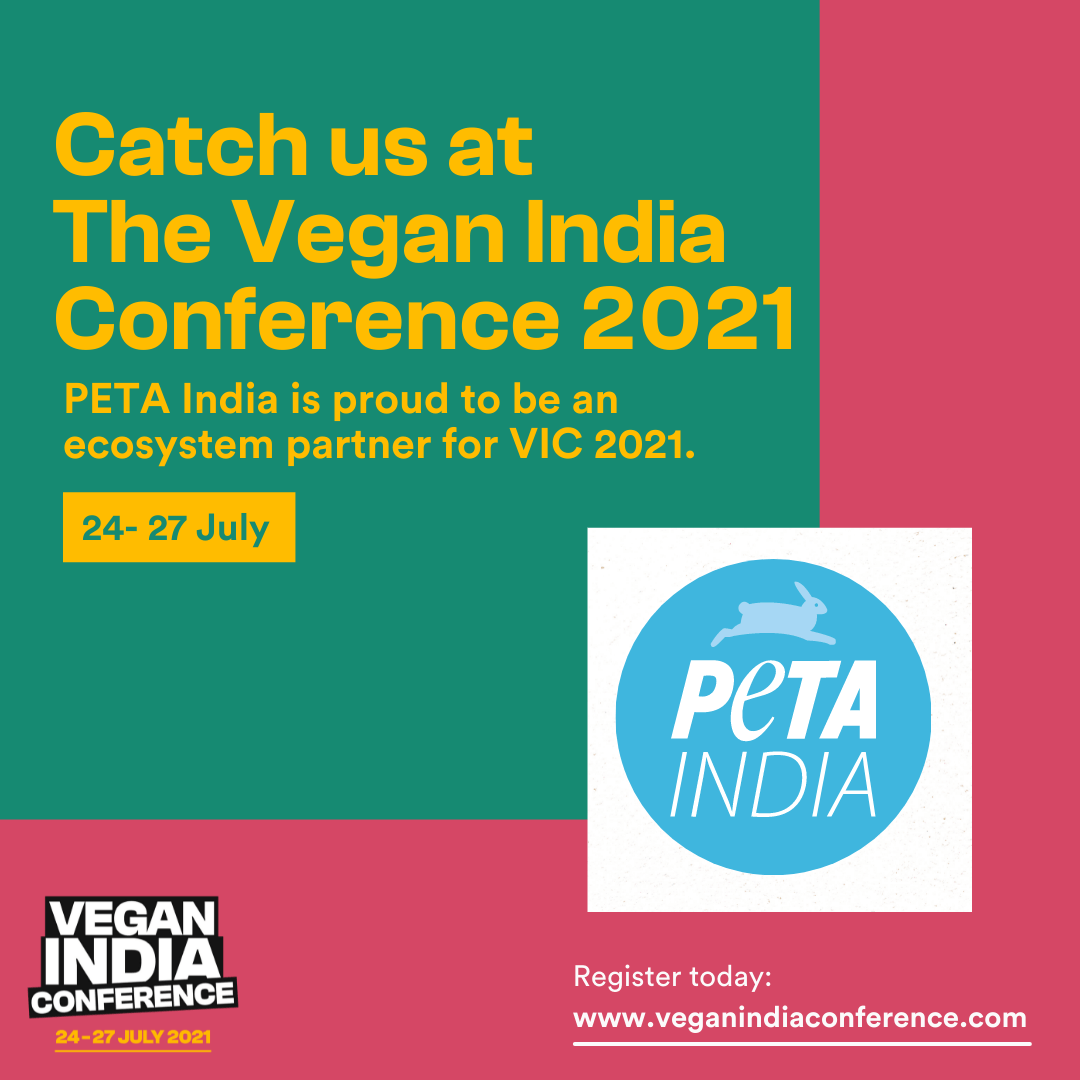 PETA India at the Vegan India Conference: Here’s What You Missed ...