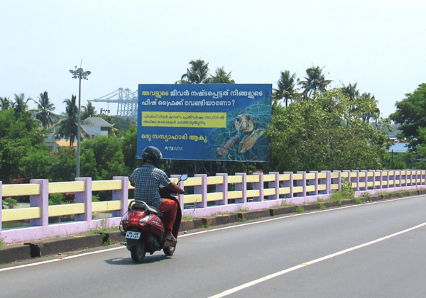 PETA India Earth Day Billboard Blitz Highlights the Marine Victims of ...