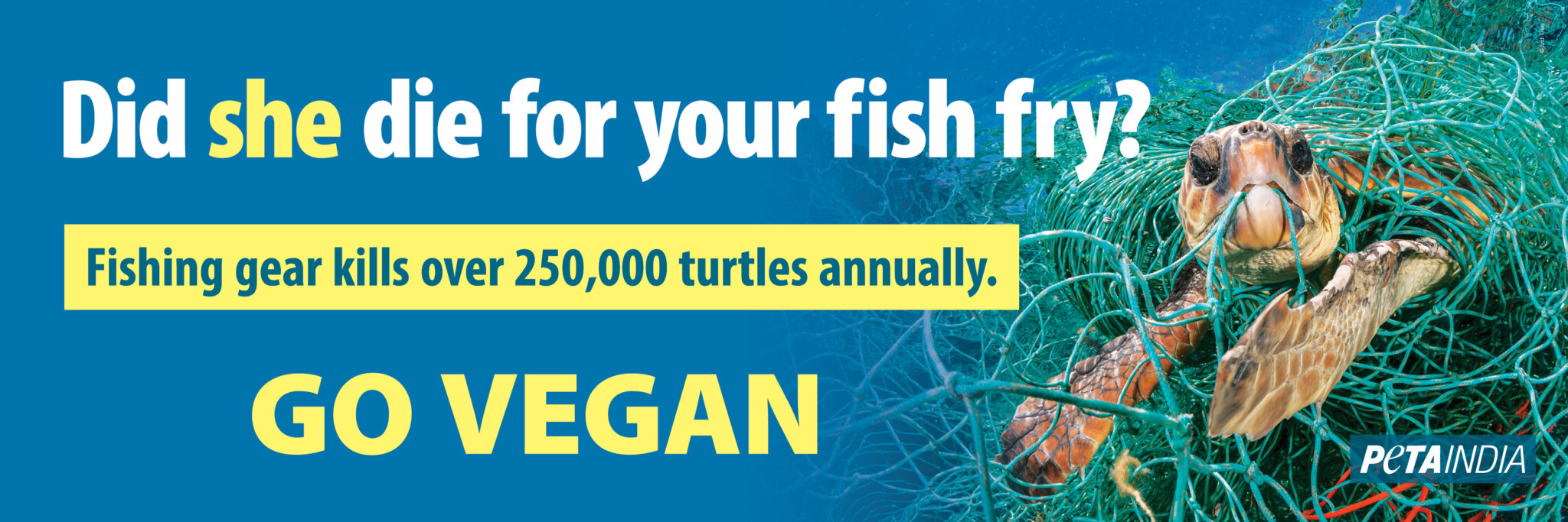 PETA India Earth Day Billboard Blitz Highlights the Marine Victims of ...