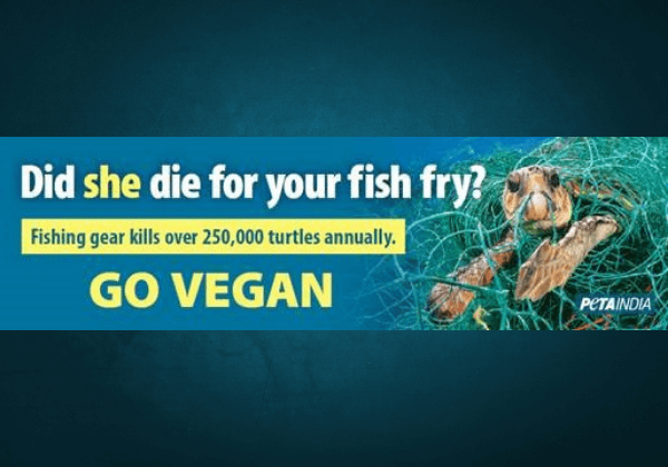 PETA India’s Special Sea Billboards Highlight the Marine Victims of ...