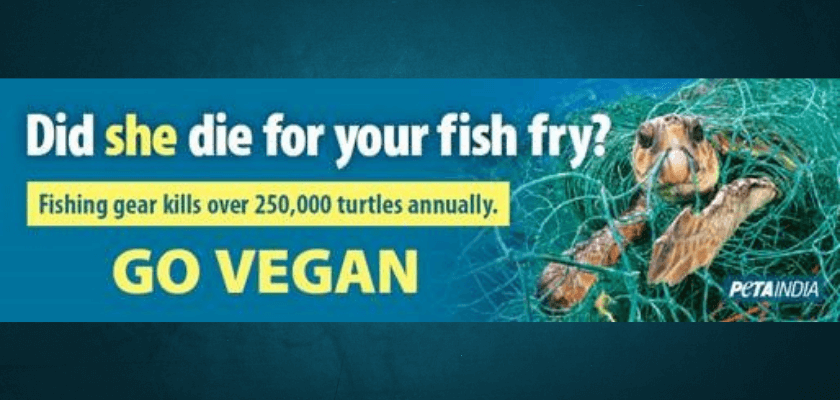 PETA India Earth Day Billboard Blitz Highlights the Marine Victims of ...