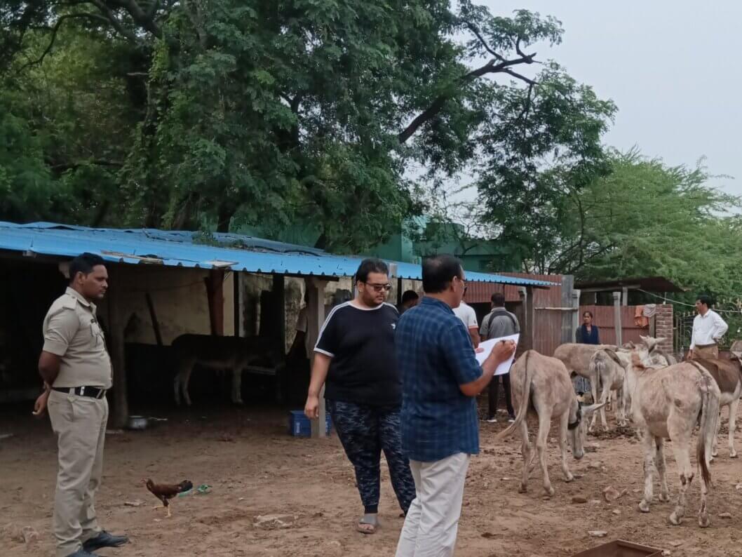 16 Donkeys Rescued and Over 100 Kilos of Donkey Meat Seized by Bapatla ...