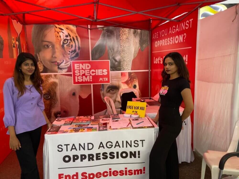 PETA India’s Exciting Youth Booth at Mood Indigo 2022 - Blog - PETA India