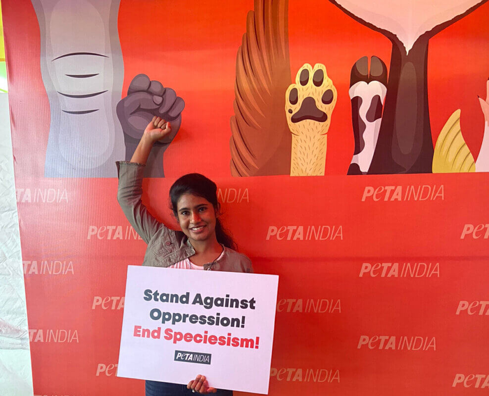 PETA India’s Exciting Youth Booth at Mood Indigo 2022 - Blog - PETA India