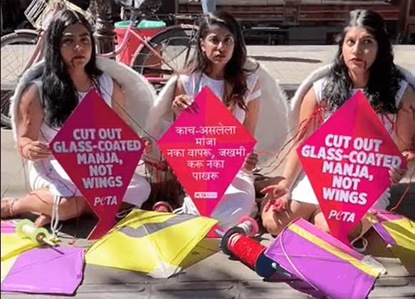 PETA India: India’s Animal Rights Organisation | PETA India