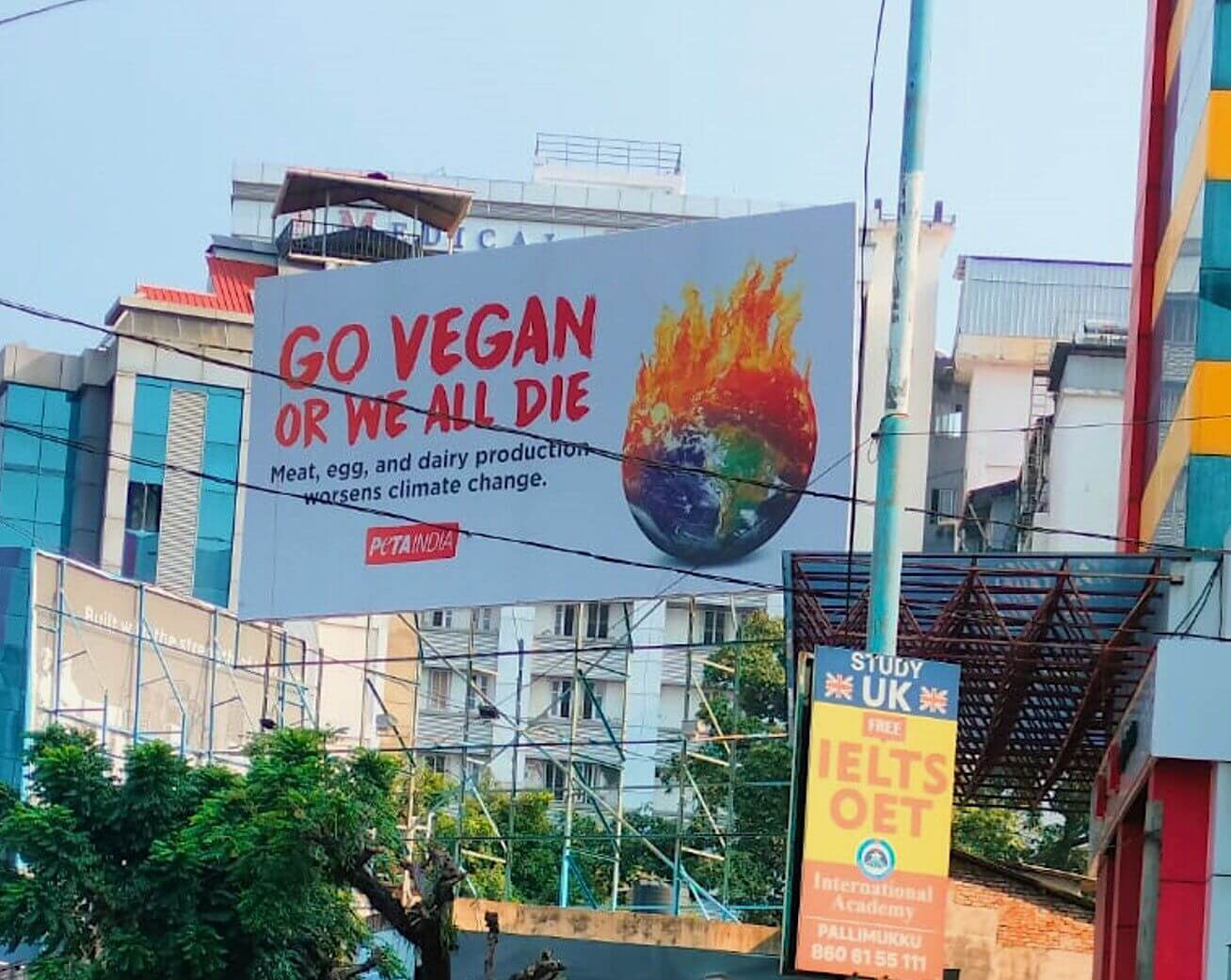 Earth Day Prompts ‘Go Vegan or We All Die’ Warning From PETA India ...
