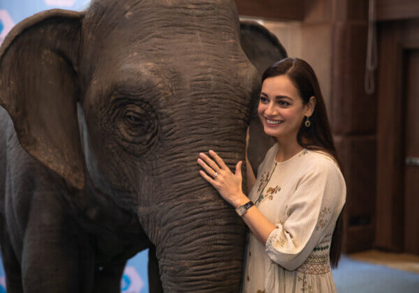 PETA India’s Ellie the Animatronic Elephant Is Educating Children About ...