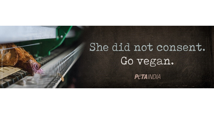 PETA India’s Latest Message Reminds College-Goers That Chickens Do Not ...