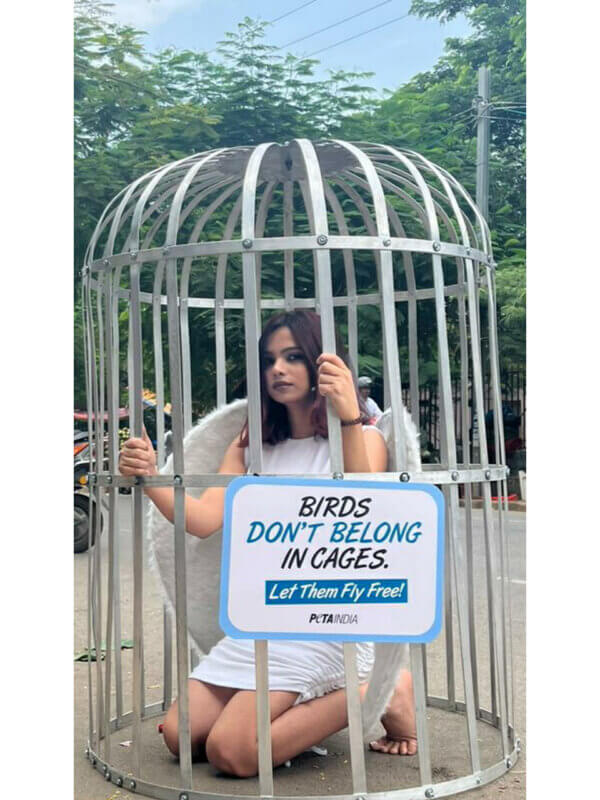 Caged ‘Bird’ Urges Hyderabad Residents to Let Birds Fly Free - Blog ...