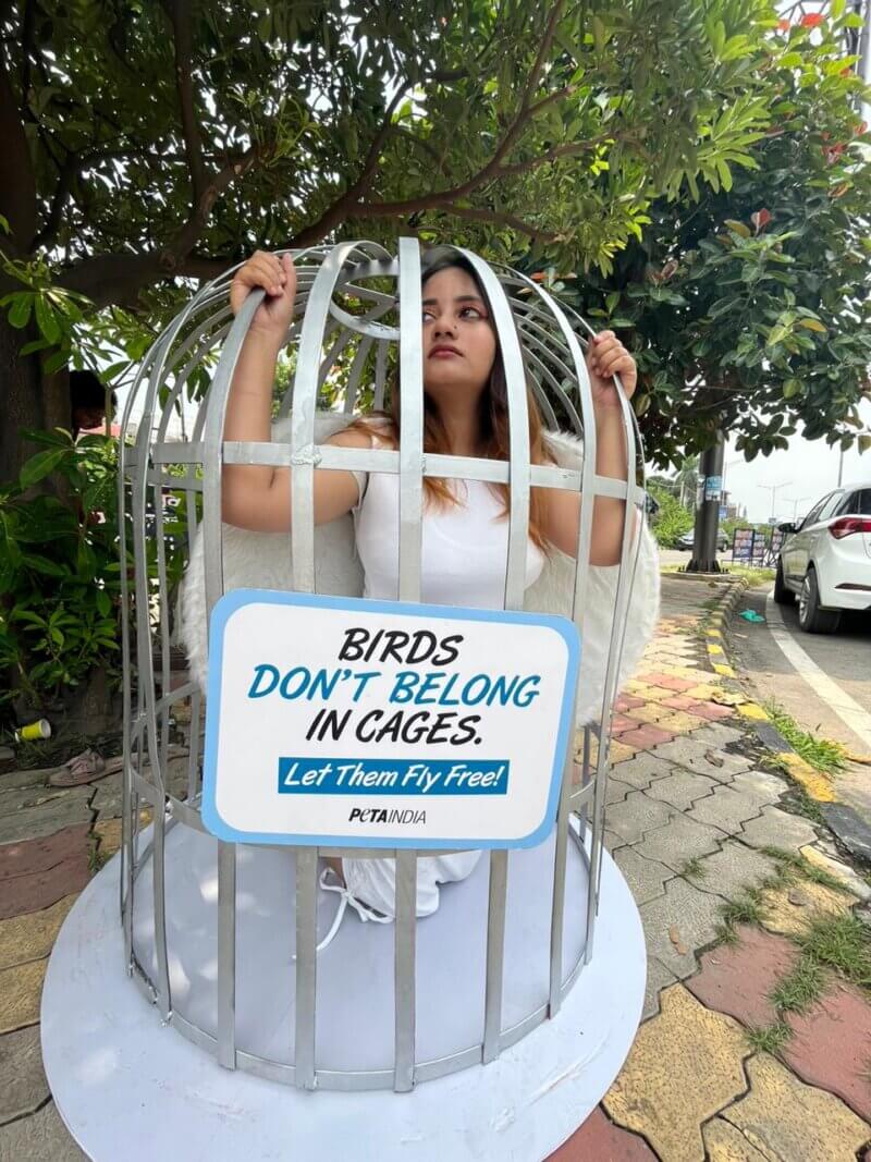 Caged ‘Bird’ Urges Amritsar Residents to Let Birds Fly Free - Blog ...