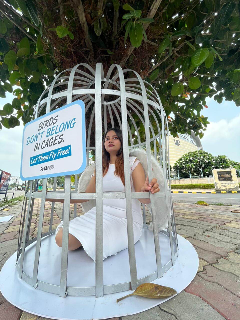 Caged ‘Bird’ Urges Amritsar Residents to Let Birds Fly Free - Blog - PETA India
