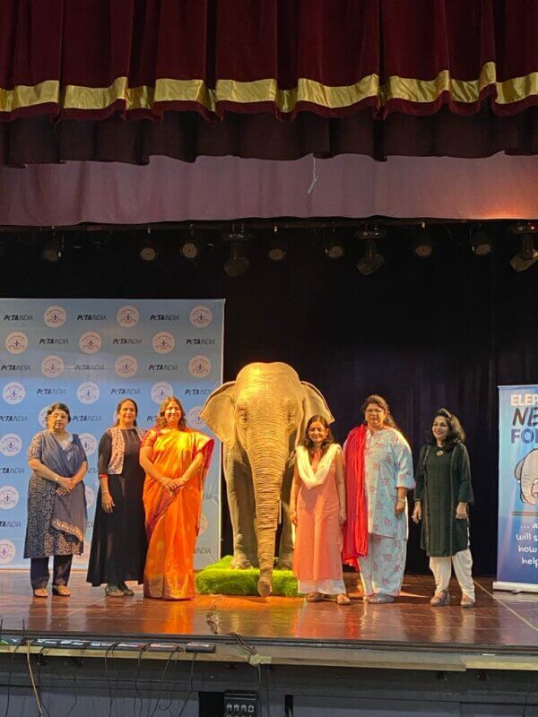 World Animal Day: PETA India’s Life-Size Animatronic Elephant, Ellie ...