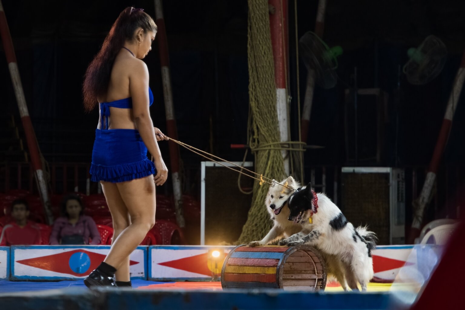 Paytm Insider Removes Ads Featuring Circuses Using Animals From Its ...