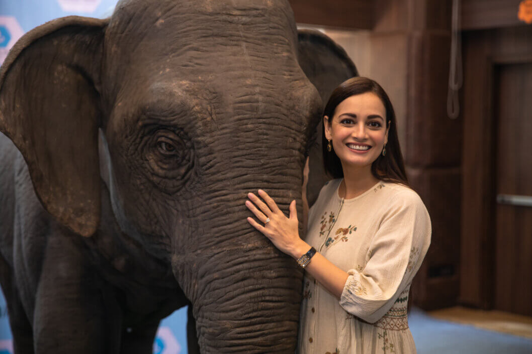 Dia Mirza Named PETA India’s 2023 Person of the Year for Championing ...