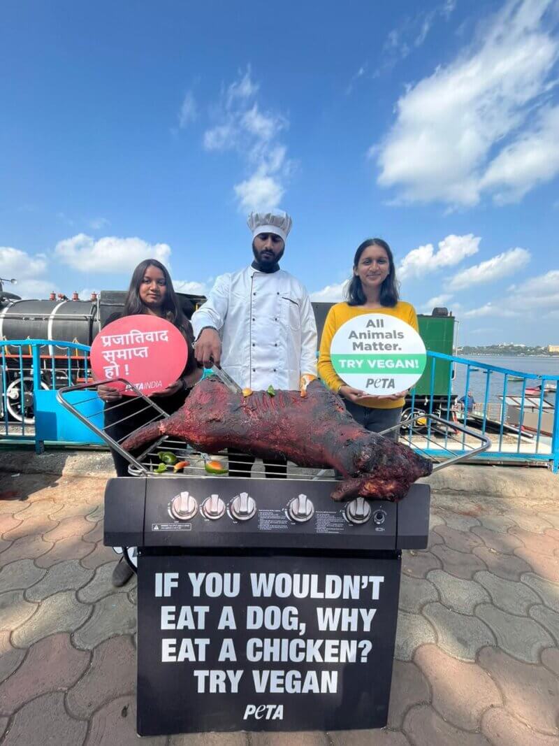 ‘Charred Dog’ Is ‘Barbecued’ Ahead of International Animal Rights Day ...
