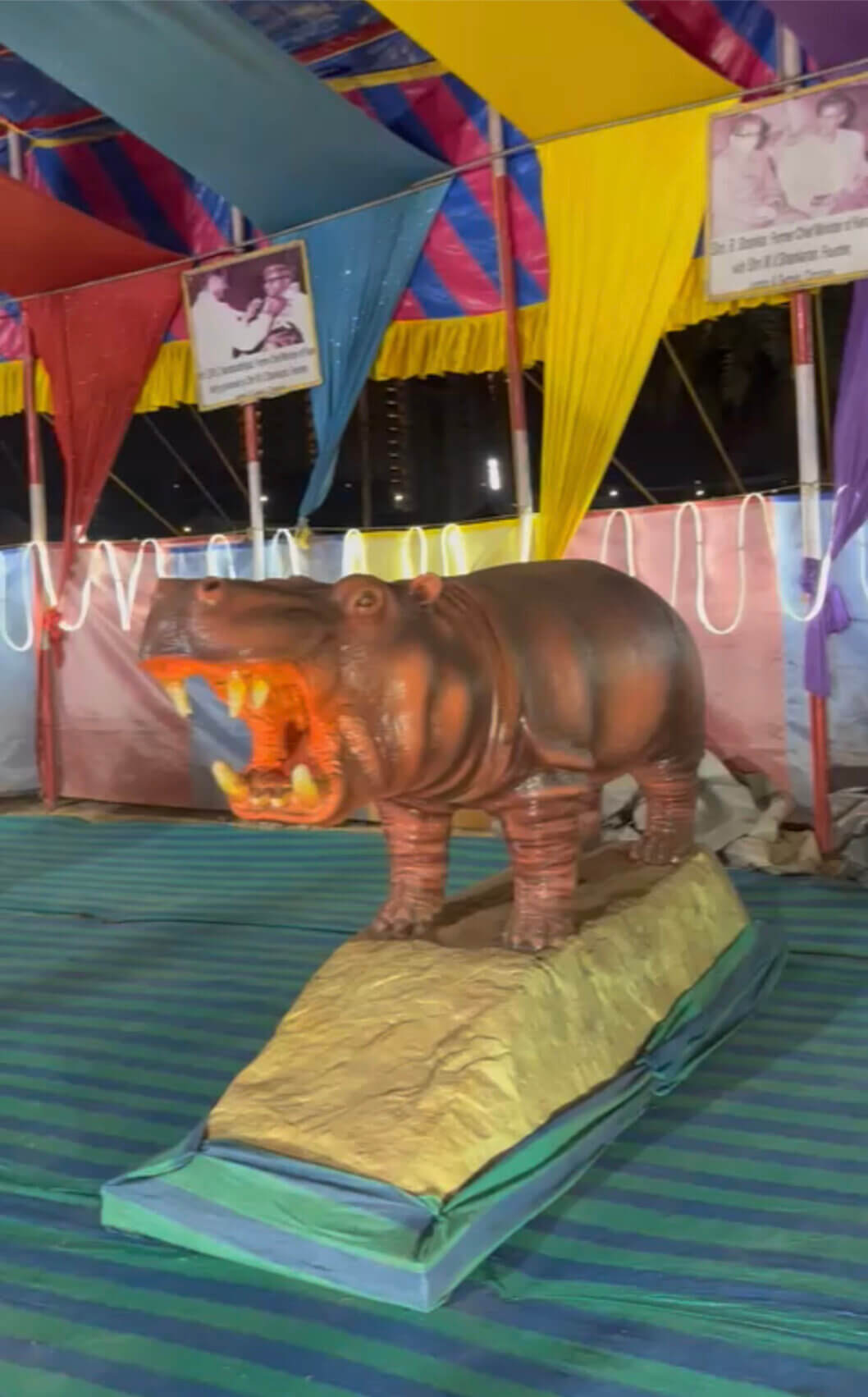 Gemini Circus Makes History as First in India to Introduce Robotic ...