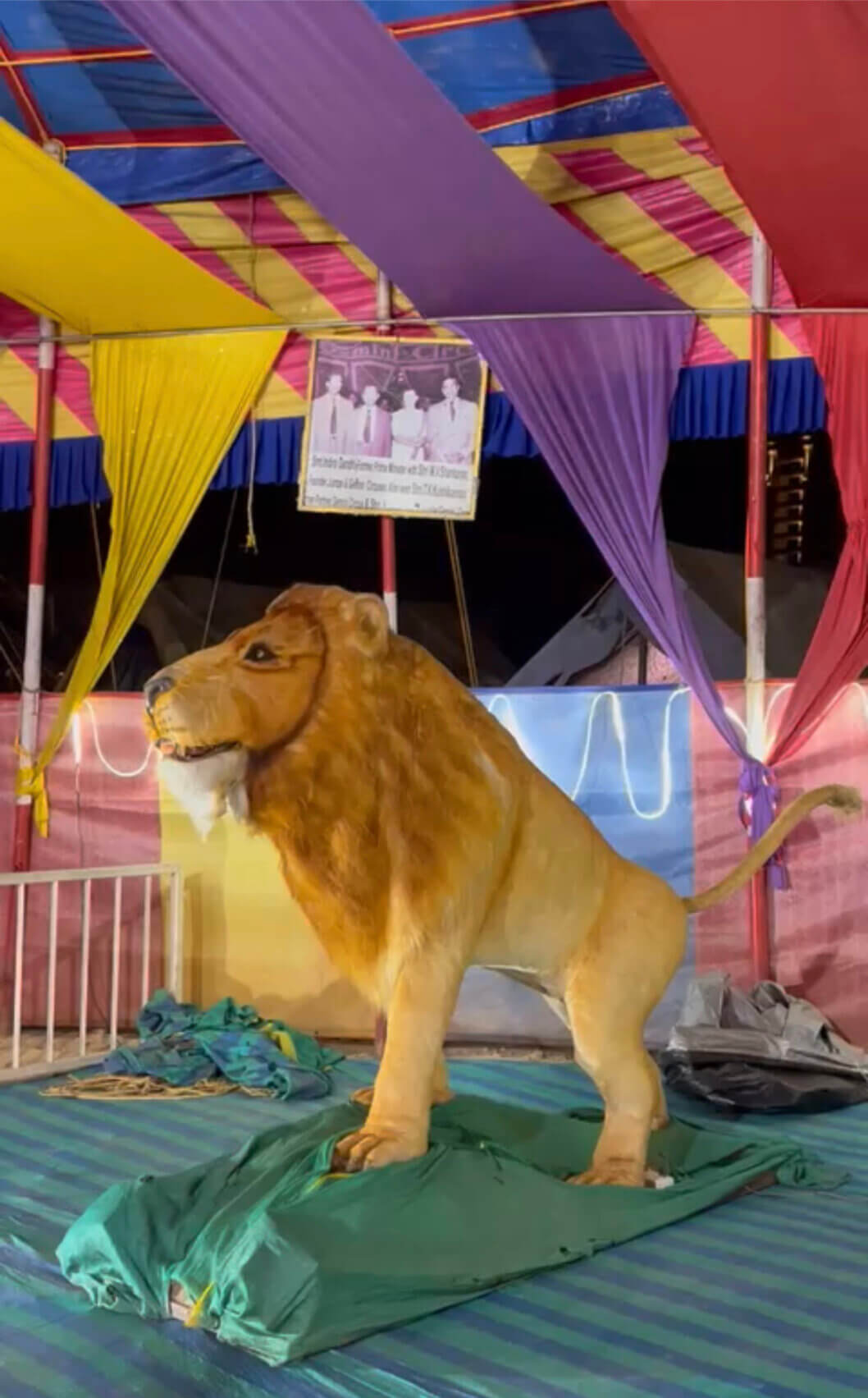 Gemini Circus Makes History as First in India to Introduce Robotic ...