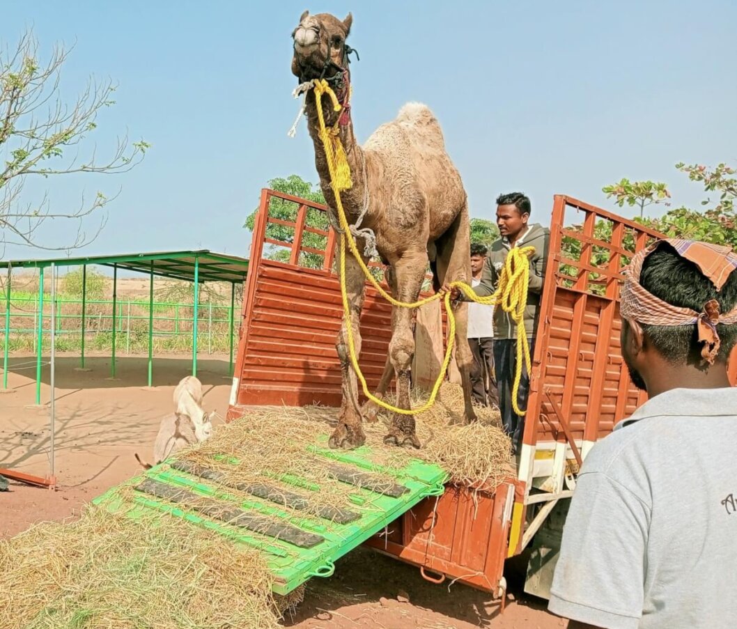 Andhra Pradesh Police Join Hands With PETA India in Efforts to Save ...