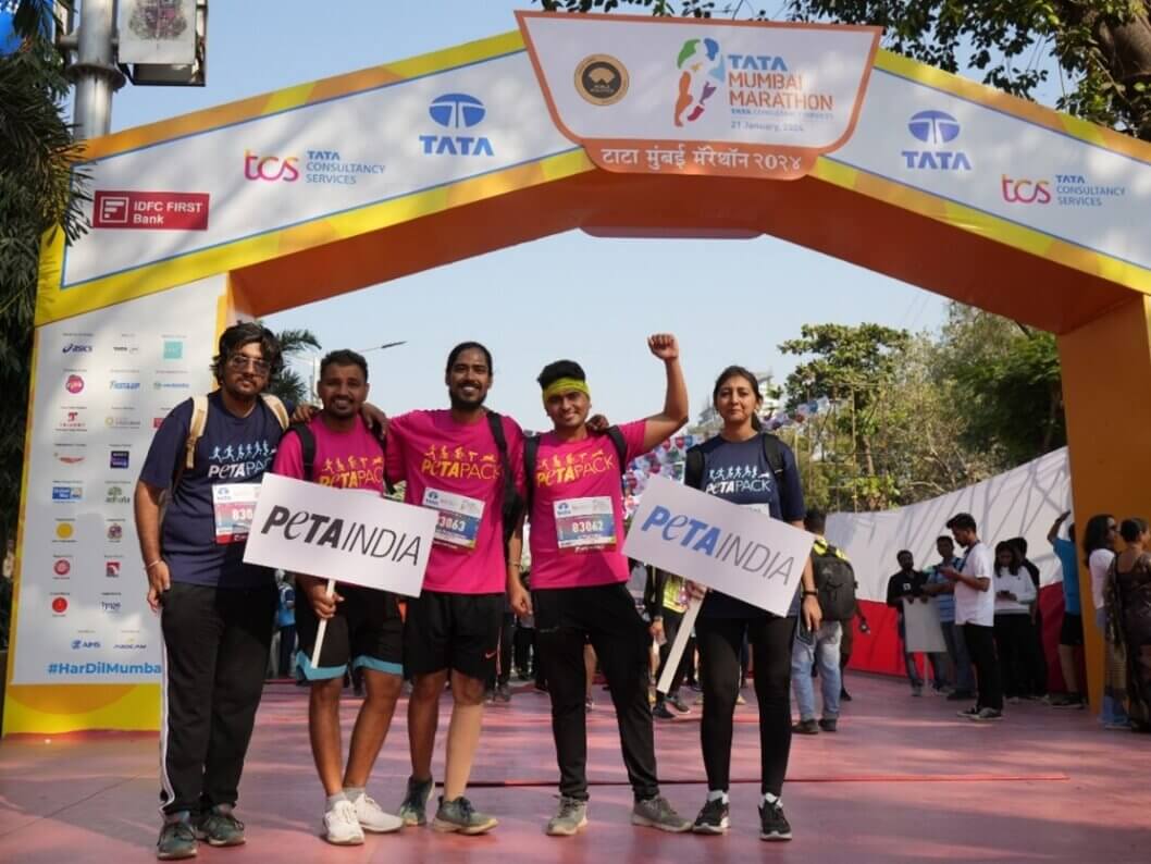 Lacing Up for Animals: PETA India and FirstRand Run the Tata Mumbai ...