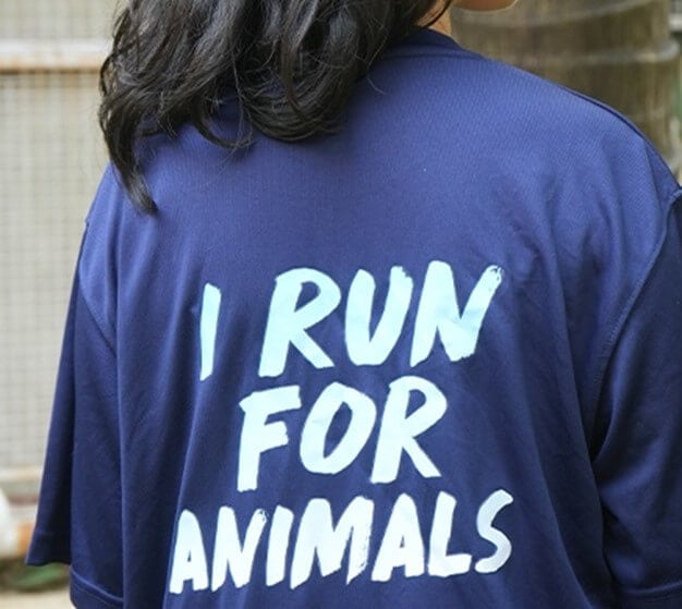 Lacing Up for Animals: PETA India and FirstRand Run the Tata Mumbai ...