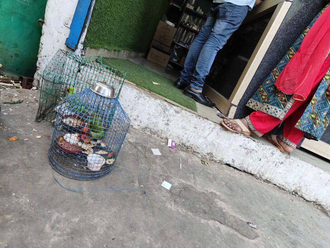 Uttar Pradesh Forest Department Books Man for Illegal Possession of ...