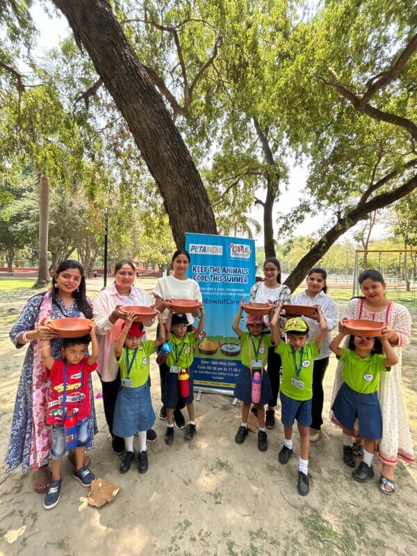 Little Millennium Schoolchildren Wearing Animal Masks Join PETA India ...