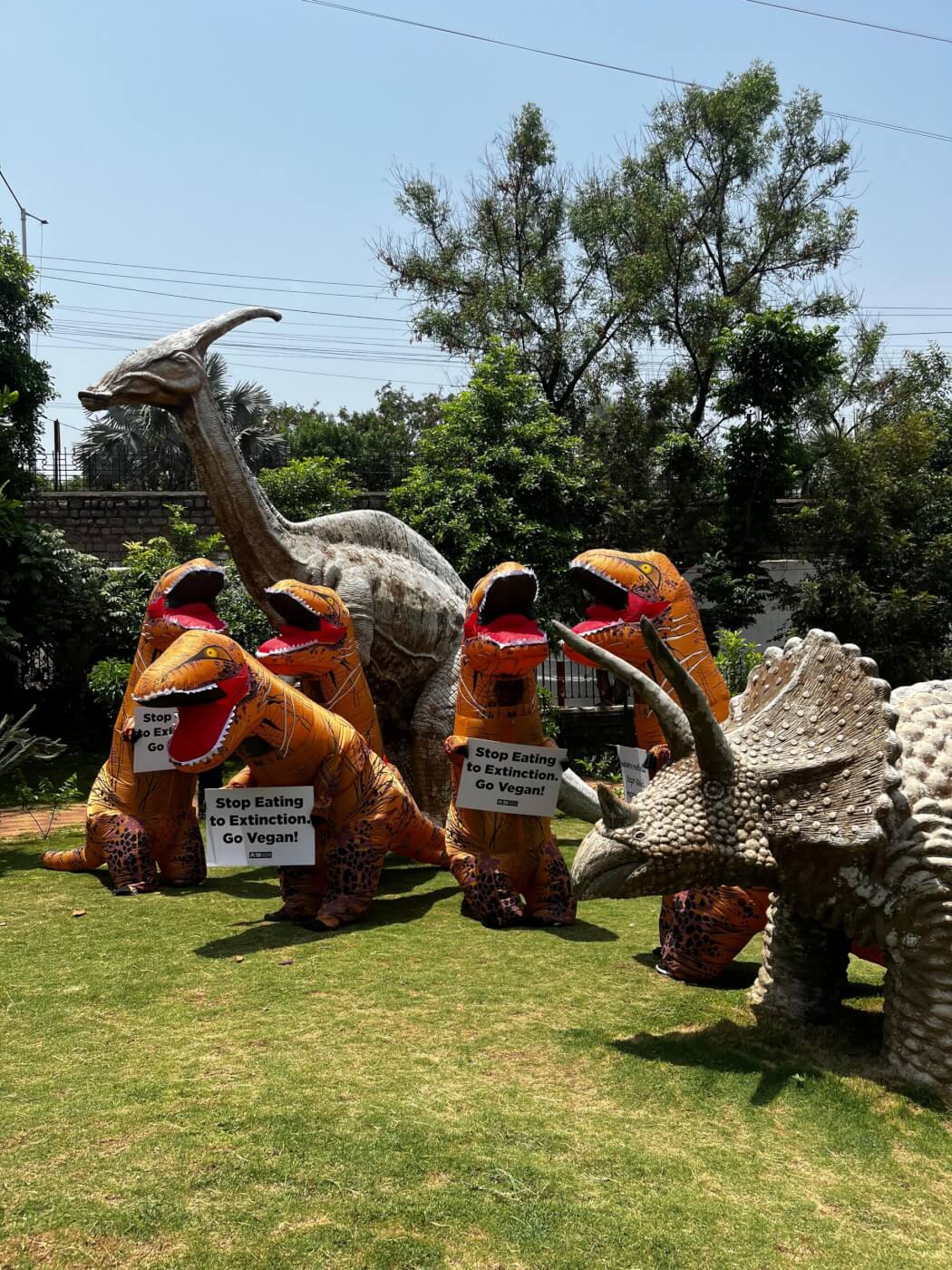 ‘Dinosaurs’ Urge Hyderabad Residents: ‘Go Vegan or Go Extinct!’ Ahead of International Dinosaur ...