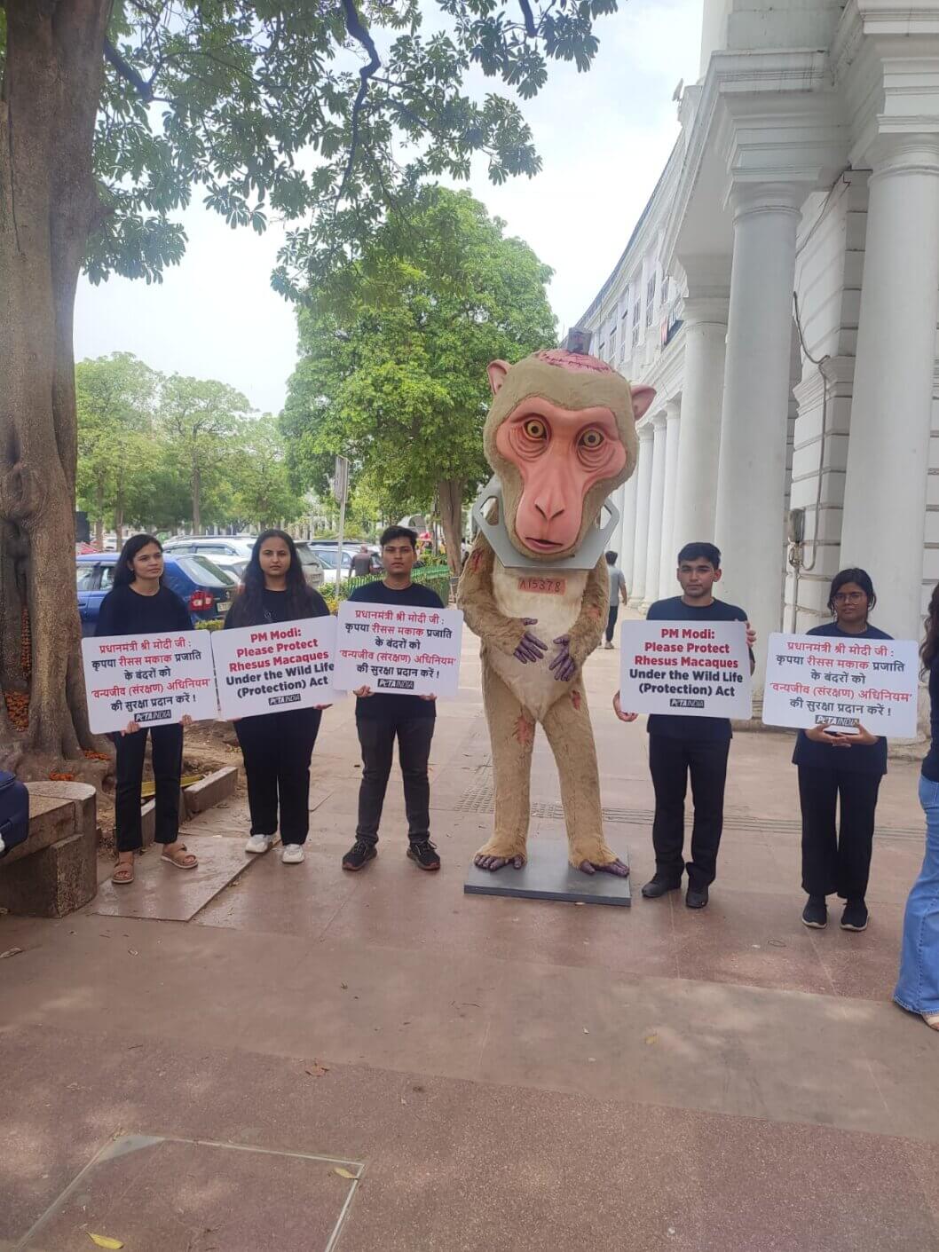 Giant ‘Monkey’ Laboratory Victim Requests That PM Modi Reinstate ...