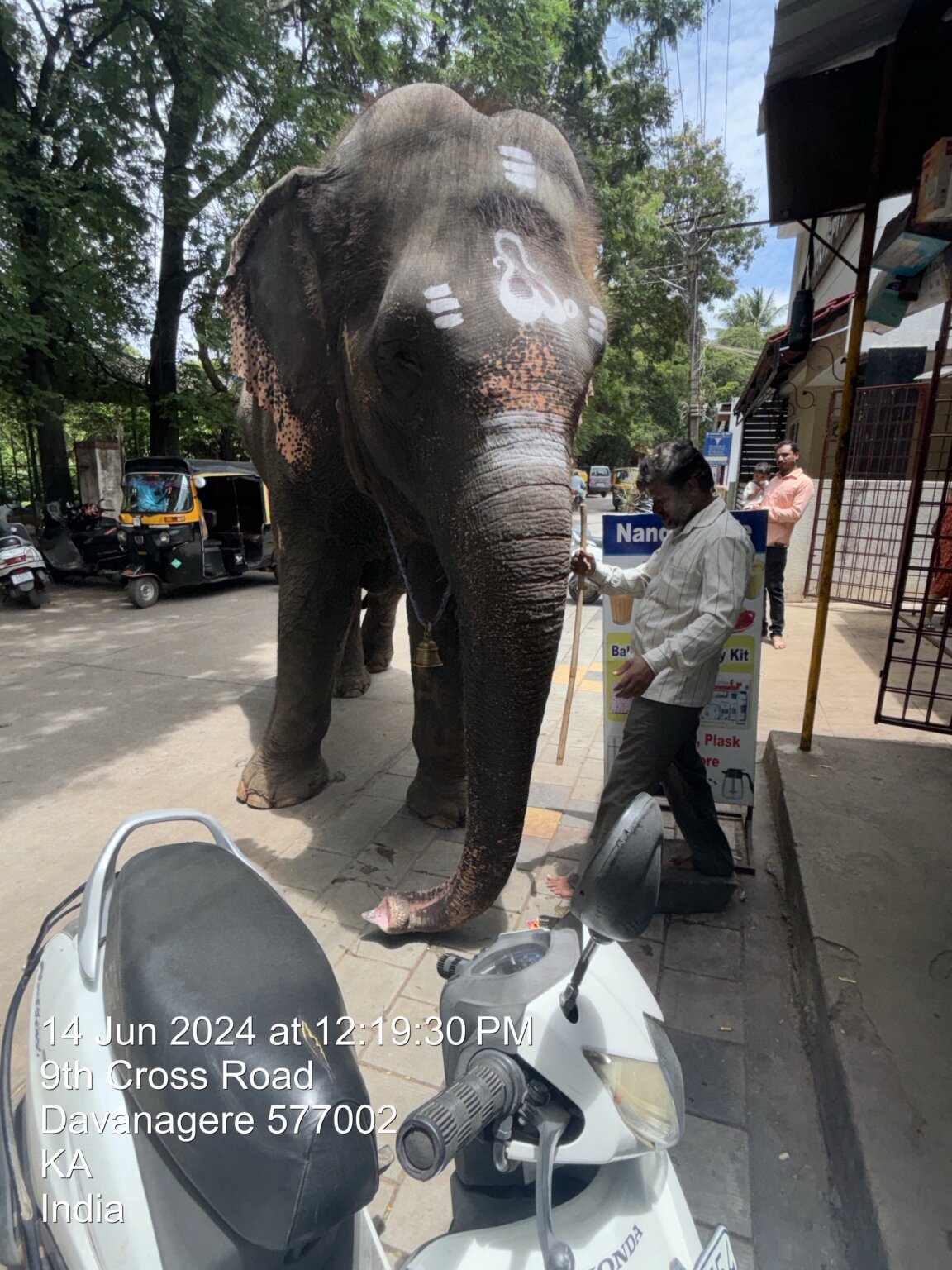 PETA India Offers Mechanical Elephant for Telangana Muharram and Bonalu ...