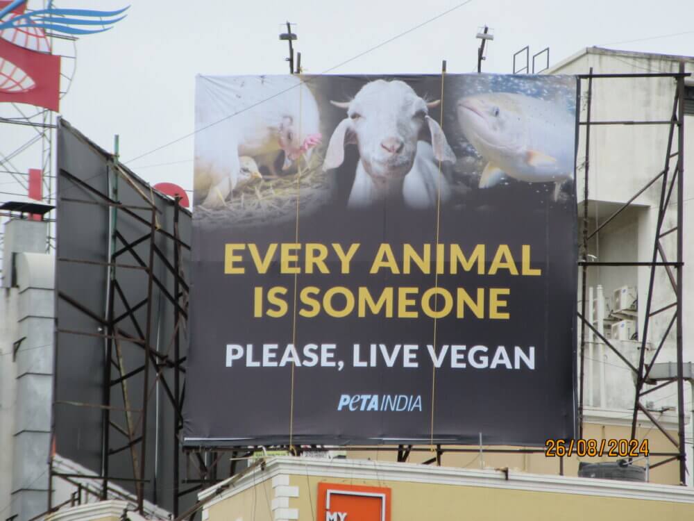 ‘Every Animal Is Someone’: Animals Implore Public to Live Vegan in PETA ...